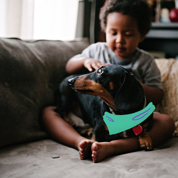 How to prepare your dachshund for your new baby – Witzig