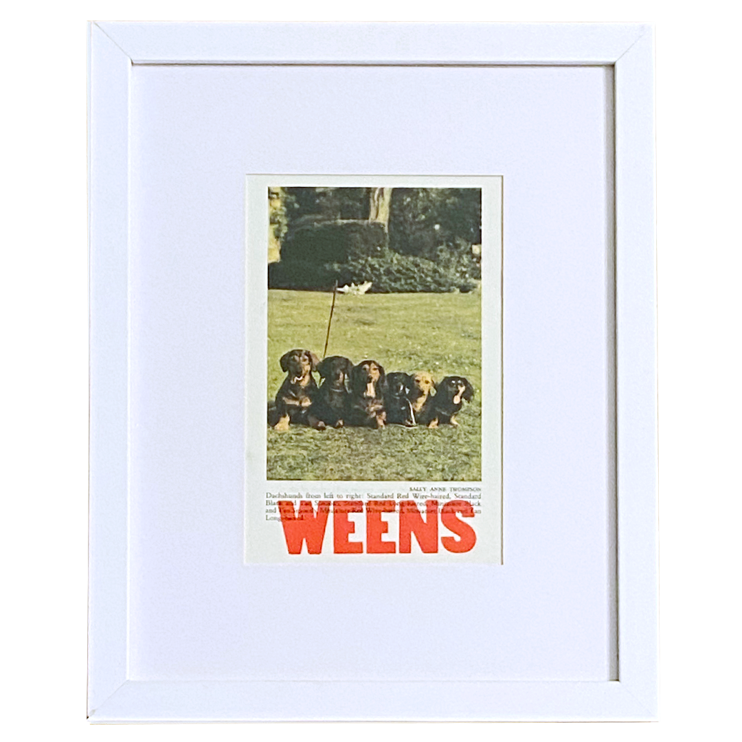 "Weens" 2 of 2 – Witzig